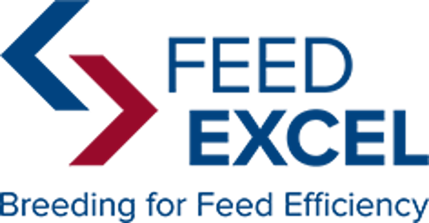 CRV FeedExcel - CRV