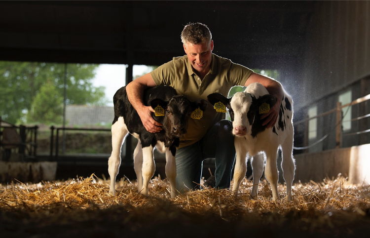 CRV - BETTER COWS > BETTER LIFE - CRV