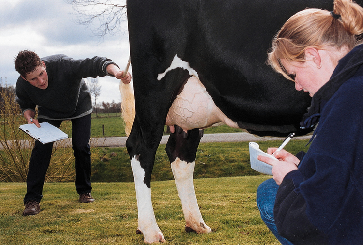 Confirmation and linear traits - CRV