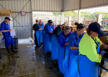 AB Training Courses - CRV