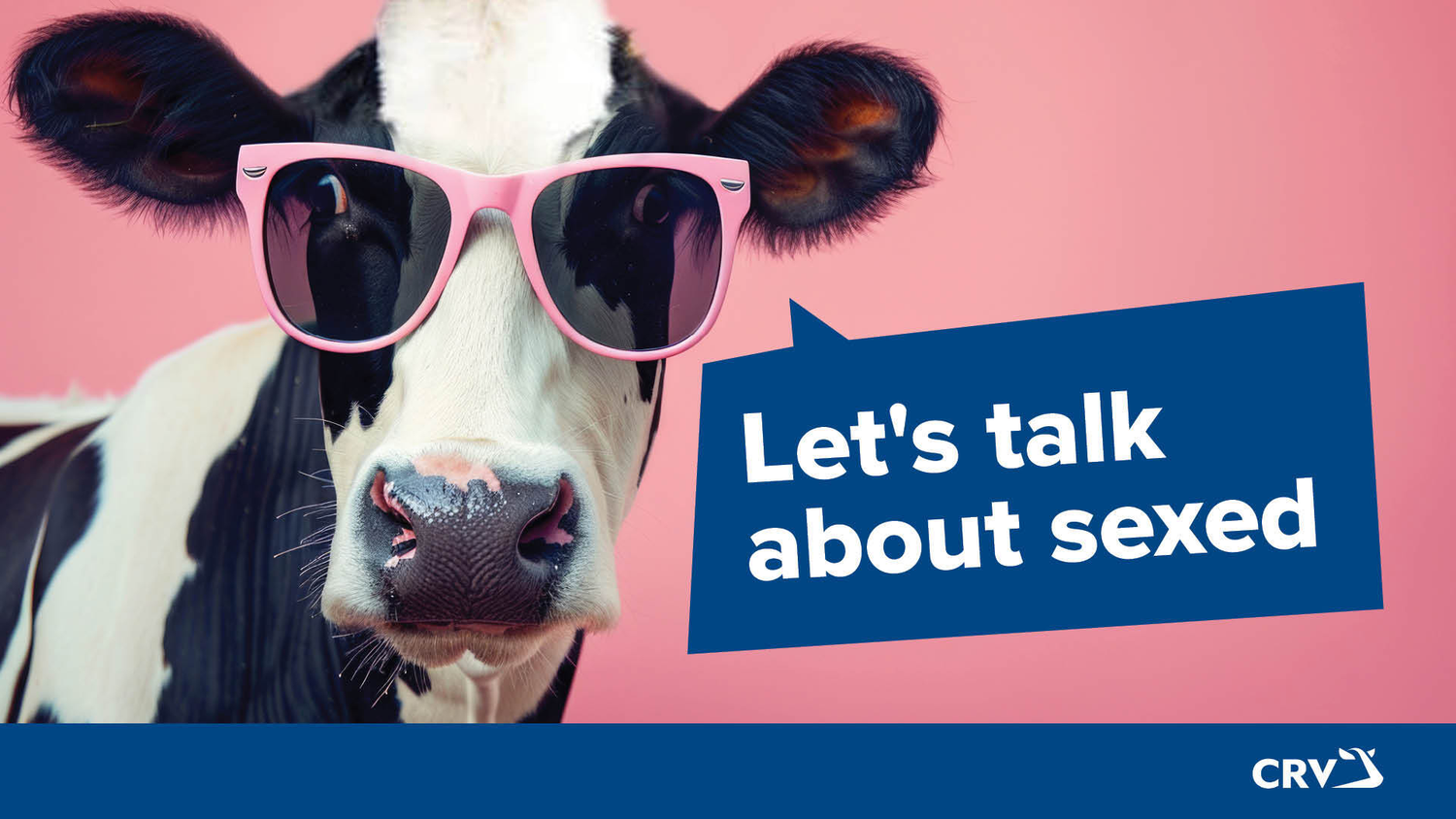 High Fertility Sires Crv